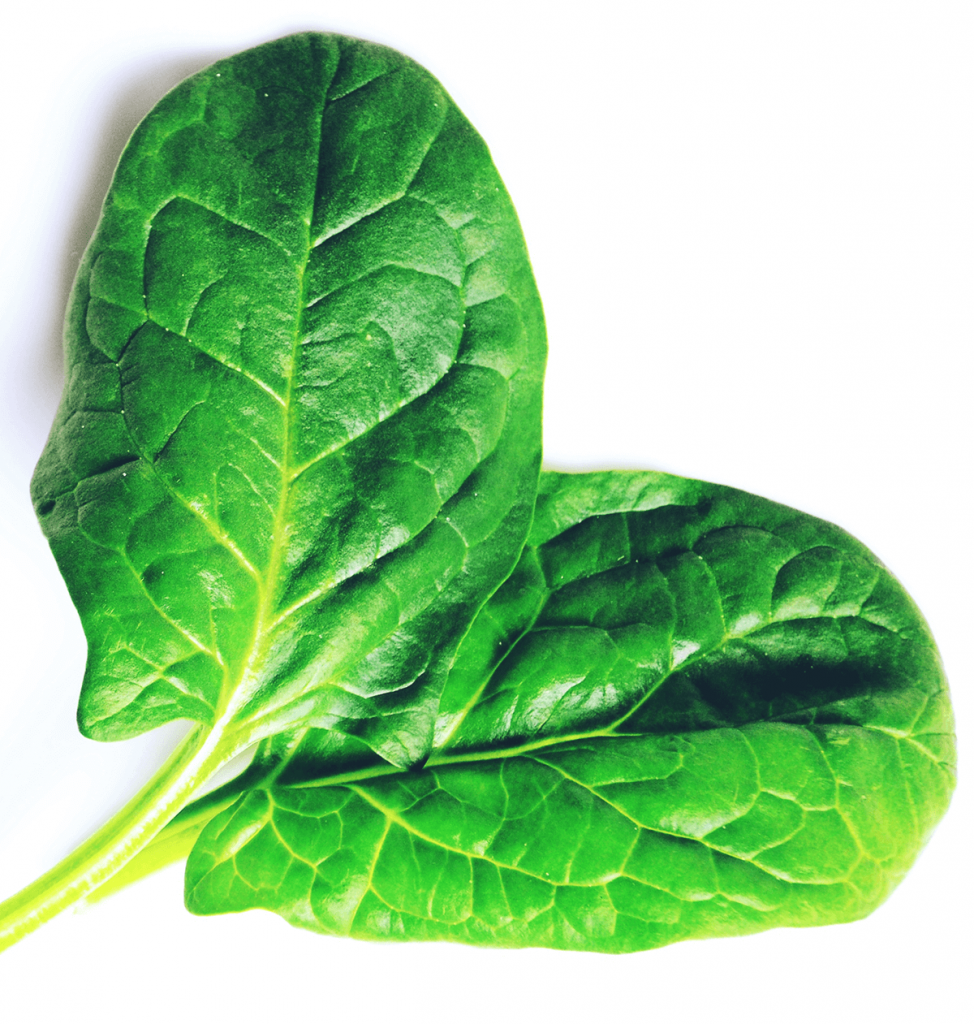 Meet MyFlex - myflex.gr